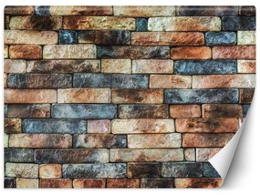 Fototapeta, Barevná cihlová kamenná zeď - 250x175 cm