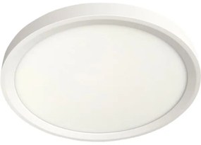 LED Stropní svítidlo LED/18W/230V 3000/4000/6500K pr. 23 cm bílá