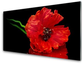 Obraz na skle Květ Mák Rostlina Příroda 120x60 cm
