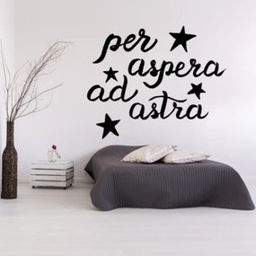 Samolepka Per aspera ad astra