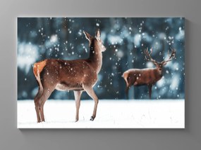 Liox Obraz srna a jelen v zimní krajině Rozměr: 100 x 65 cm