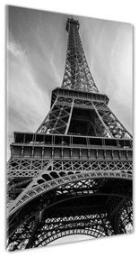Wallmuralia Vertikální Fotoobraz na skle Eiffelová věž Paříž 50x100