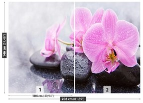 Fototapeta Orchidejové kameny 104x70