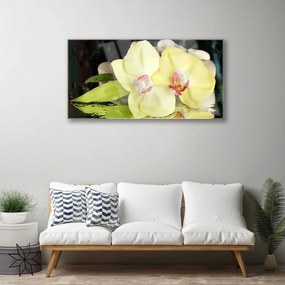 Obraz na skle Okvětní Plátky Orchidej 100x50 cm