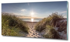 Wallmuralia Foto obraz skleněný horizontální Mořské duny 100x50