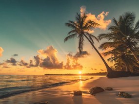 Vícedílný obraz Západ Slunce Na Dominikánské Pláži Nedostatek Nedostatek Přírodní plátno 120x90