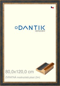 DANTIK rámeček 80x120 | ZVRATNÁ modrozlatá plast (Plexi Čiré)