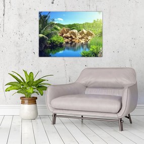 Skleněný obraz jezera v Seychelské džungli (70x50 cm)