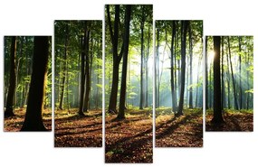 Gario Obraz na plátně Sluneční paprsky v lese - 5 dílný Rozměry: 100 x 70 cm