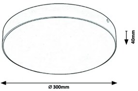 Rabalux - LED Stropní svítidlo LED/24W/230V 2800-6000K IP44 bílá