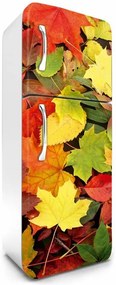 Fototapeta na lednici Colorful Leaves 65 x 180 cm FR180-025