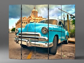 Paraván havana auto Rozměr: 225 x 180 cm