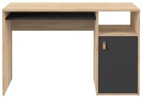Pracovní stůl s deskou v dubovém dekoru 50x115 cm Oxford – TemaHome