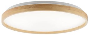 Brilliant - LED Stmívatelné stropní svítidlo ALSON LED/21W/230V béžová + DO