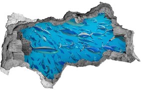 Wallmuralia Díra 3D fototapeta nálepka Korálové ryby 95x73 cm