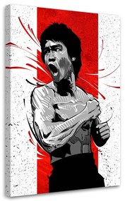 Gario Obraz na plátně Dračí příběh Bruce Leeho - Nikita Abakumov Rozměry: 40 x 60 cm