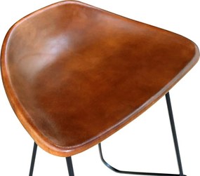 vidaXL Barové židle 4 ks pravá kůže [276363] Barva: Hnědá
