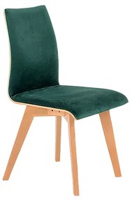 Židle Roen Barva čalounění:: zelená