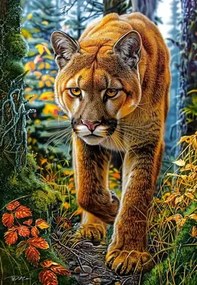 Castorland 152261-2 Puzzle Puma americká v lese / 1500 dílků / od 9 le