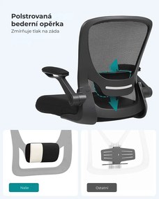 Kancelářská židle ERGO se sklopnými područkami, max. 120 kg, černá SongmicsHome