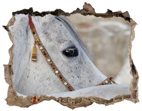Wallmuralia Díra 3D fototapeta nálepka Bílý arabský kůň 95x64 cm