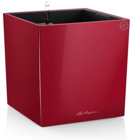 Lechuza Cube Premium 50 - scarlet