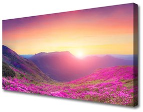 Obraz na plátně Slunce Hory Louka Příroda 120x60 cm