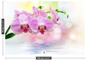 Fototapeta Orchidej růže 104x70