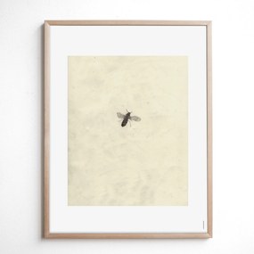 Fine Little Day Autorský plakát Fly by Brian McHenry 40 x 50 cm, béžová barva, textil