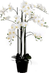 XXXLutz ORCHIDEJ 117 cm - Umělé květiny - 004536028901