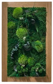 WOODILO Obraz ze stabilizovaného mechu a rostlin 208 | 56x34 cm | rám dub | SKLADEM