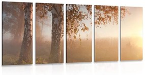 5-dílný obraz mlhavý podzimní les