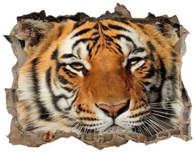 Wallmuralia Díra 3D foto tapeta nálepka Bengálský tygr 95x64 cm