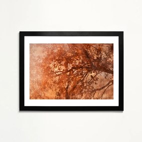 Jiří Hřebíček | Enchanted in Autumn Rám: Černý, Velikost: 20 x 30 cm