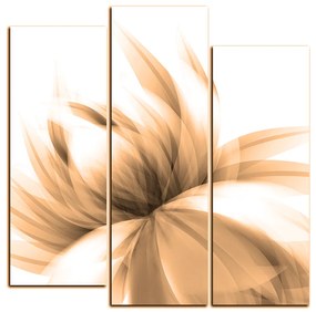 Obraz na plátně - Elegantní květ - čtverec 3147FC (75x75 cm)
