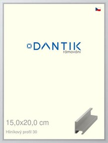 DANTIK rámeček 15x20 | ALU profil 6030 Stříbrná matná (Sklo Čiré)