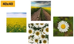 Set obrazů louka plná květin
