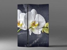 Paraván bílá orchidej na černém pozadí Rozměr: 135 x 180 cm