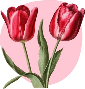 PIPPER. Textilní samolepka na zeď "Tulipány"