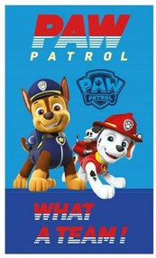 DekorTextil Ručník pro děti Paw Patrol Team