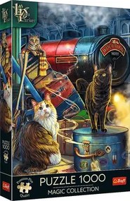Trefl - Puzzle - Premium Plus Magic Collection: Witchwood Expres / 100