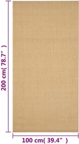 Koberec přírodní sisal 100 x 200 cm 136312