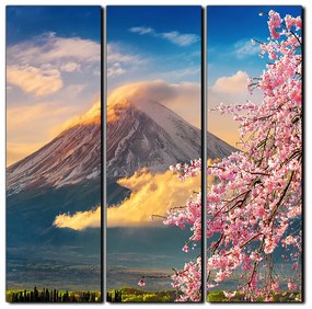 Obraz na plátně - Hora Fuji a třešňové květiny na jaře- čtverec 3266B (75x75 cm)