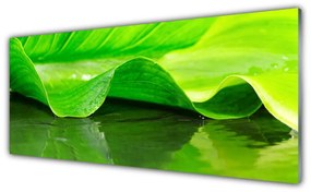 akrylový obraz Liść Roślina Natura 125x50 cm