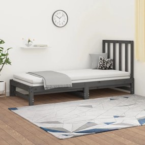 vidaXL Výsuvná postel 2x (90 x 200) cm masivní borovice [3108321] Barva: Šedá