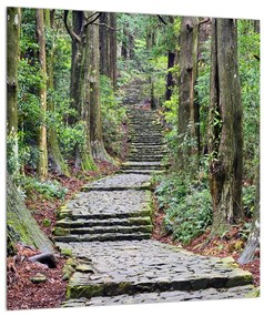Obraz kamenných schodů v lese (30x30 cm)