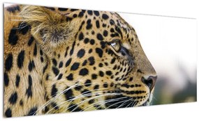 Leopard - obraz (100x40cm)