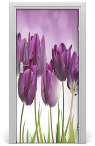 Fototapeta samolepící Fialové tulipány 85x205 cm