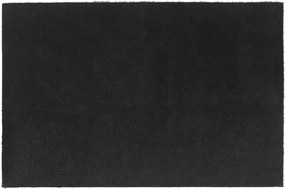 Rohožka před dveře přírodní 40 x 60 cm kokosové vlákno 155620
