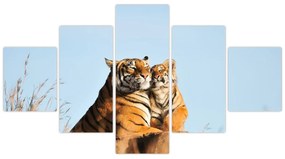 Obraz - Tygřice a její mládě (125x70 cm)